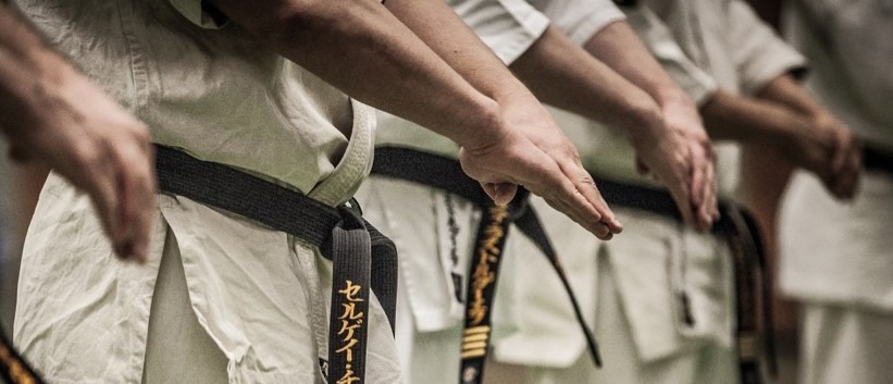 Significado de los grados Kyu/Dan en karate Kyokushin ...